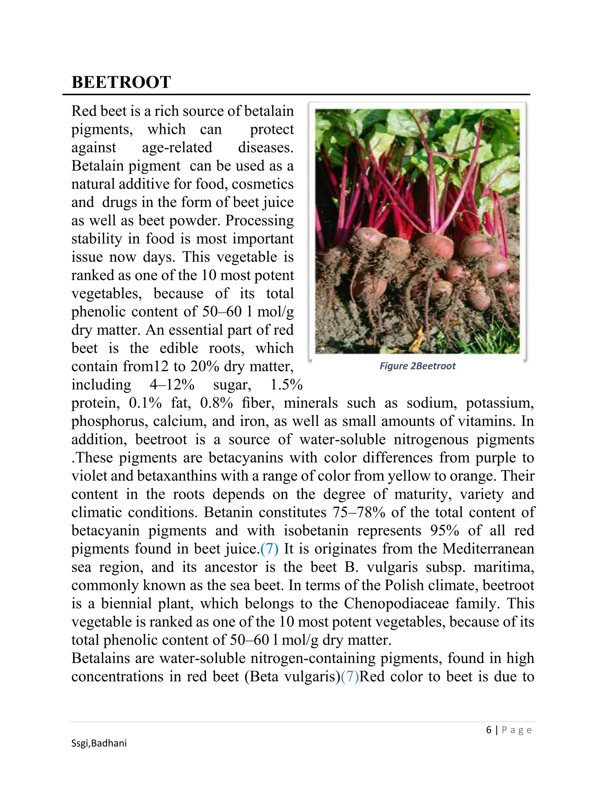 Extraction Of Natural Dye From Beetroot (Beta Vulgaris) And Preparation ...