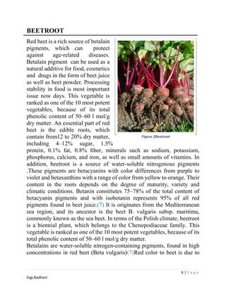 Extraction Of Natural Dye From Beetroot (Beta Vulgaris) And Preparation ...