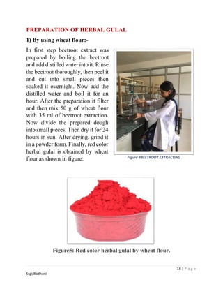 Extraction Of Natural Dye From Beetroot (Beta Vulgaris) And Preparation ...