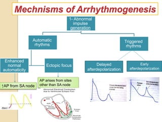 Antiarrhythmic drugs | PPTX