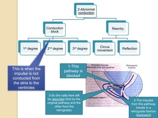 Antiarrhythmic drugs | PPTX