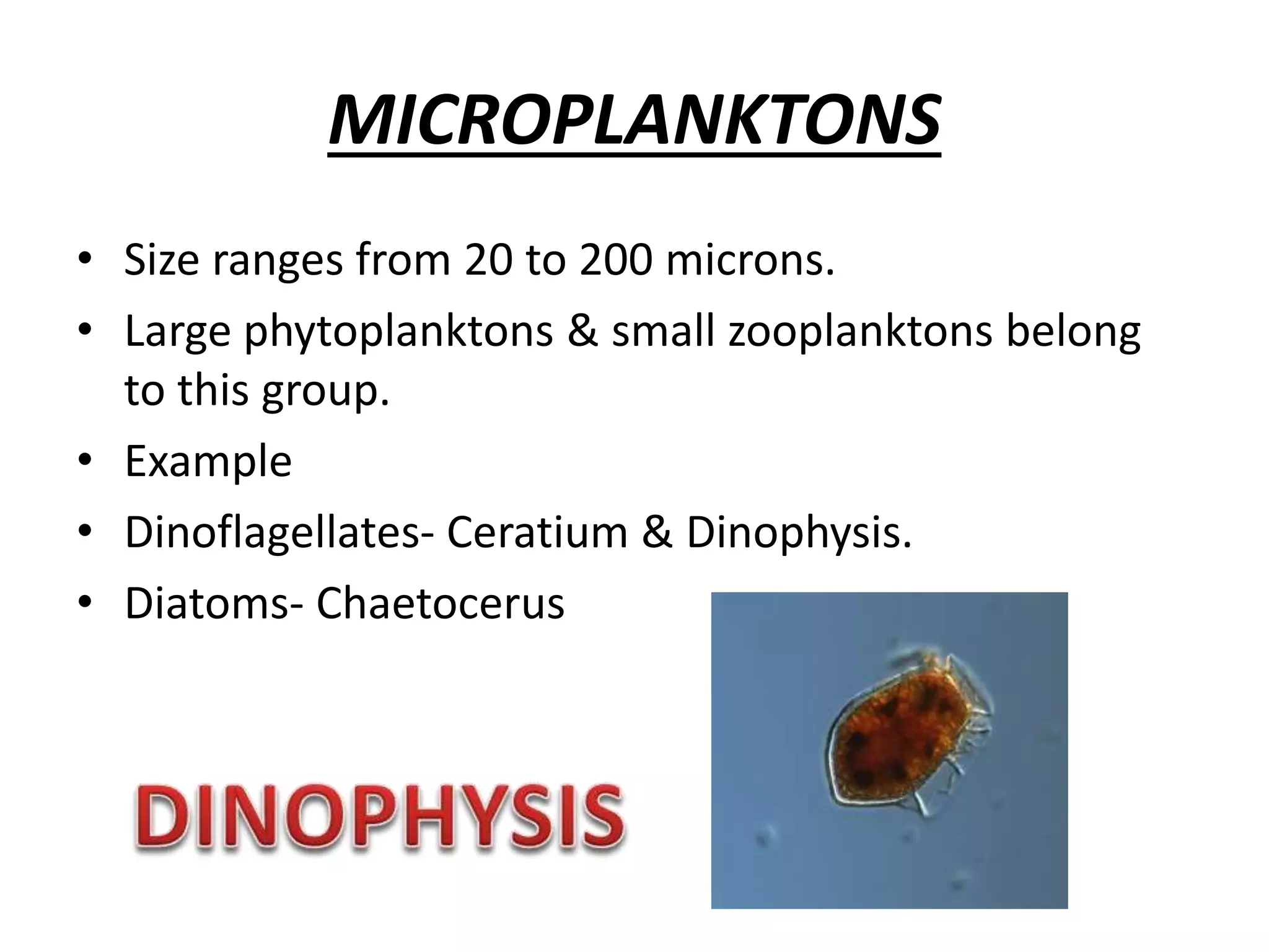 PLANKTONIC ORGANISMS AND CLASSIFICATION | PPTX
