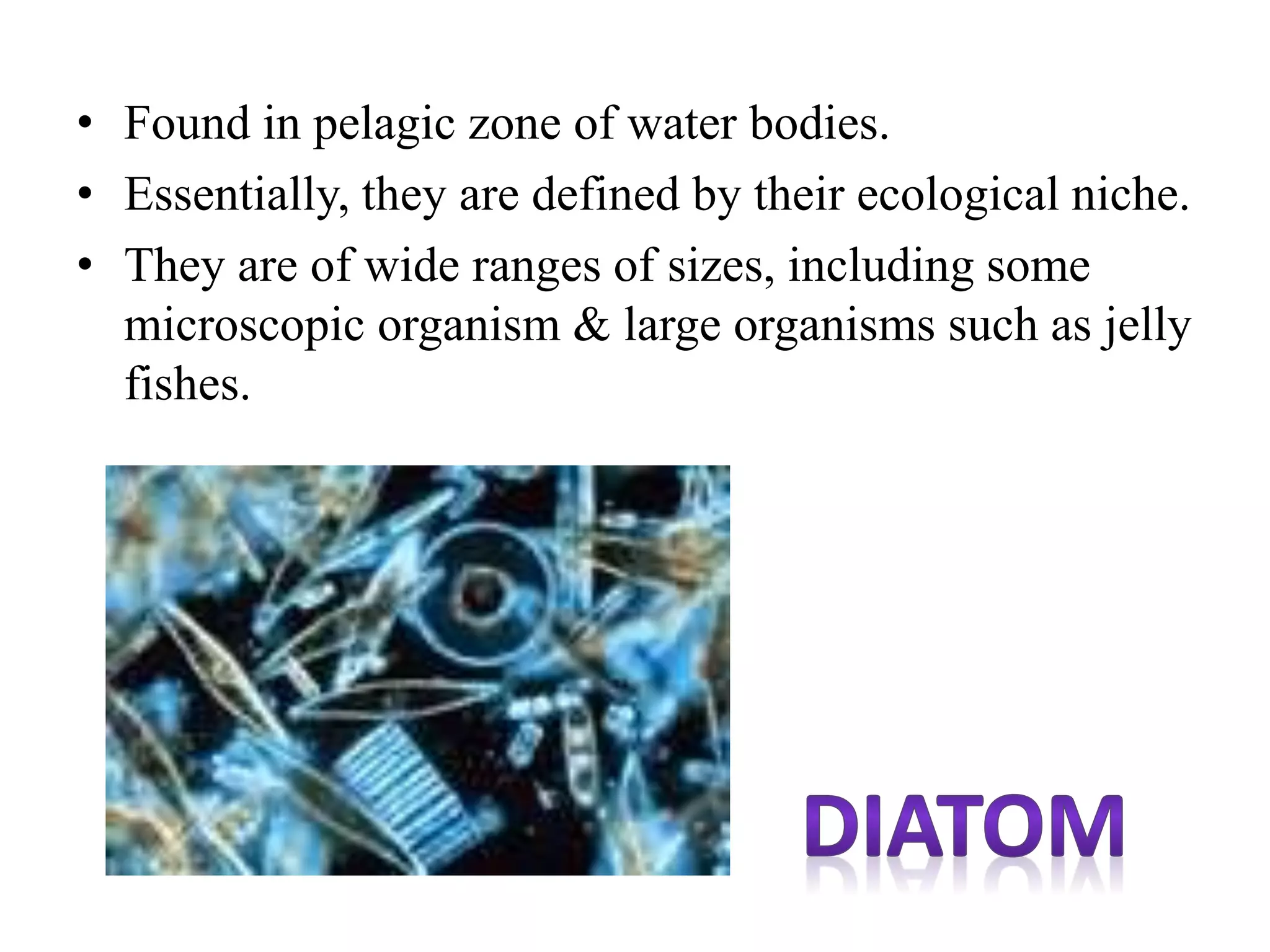 PLANKTONIC ORGANISMS AND CLASSIFICATION | PPTX