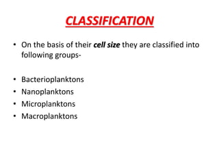 PLANKTONIC ORGANISMS AND CLASSIFICATION | PPTX