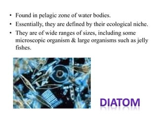 PLANKTONIC ORGANISMS AND CLASSIFICATION | PPTX