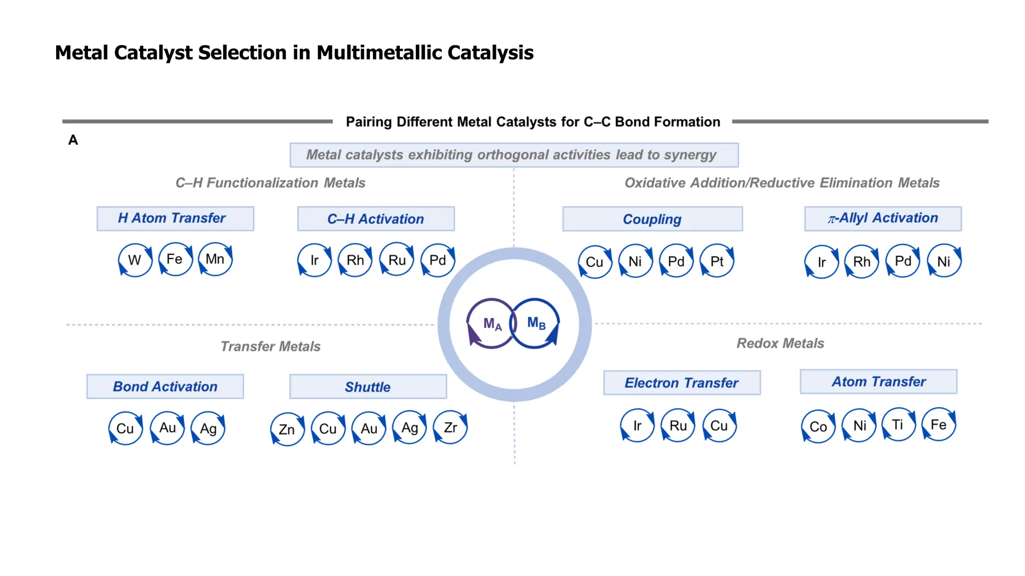 Multimetallic catalysis in organic synthesis .pptx