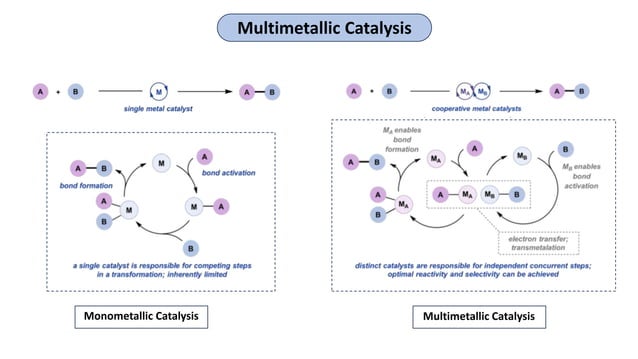 Multimetallic catalysis in organic synthesis .pptx