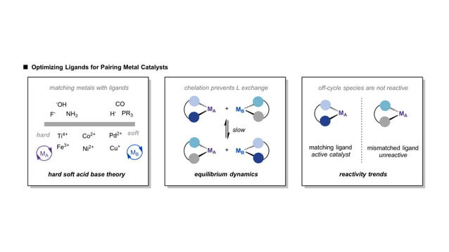 Multimetallic catalysis in organic synthesis .pptx