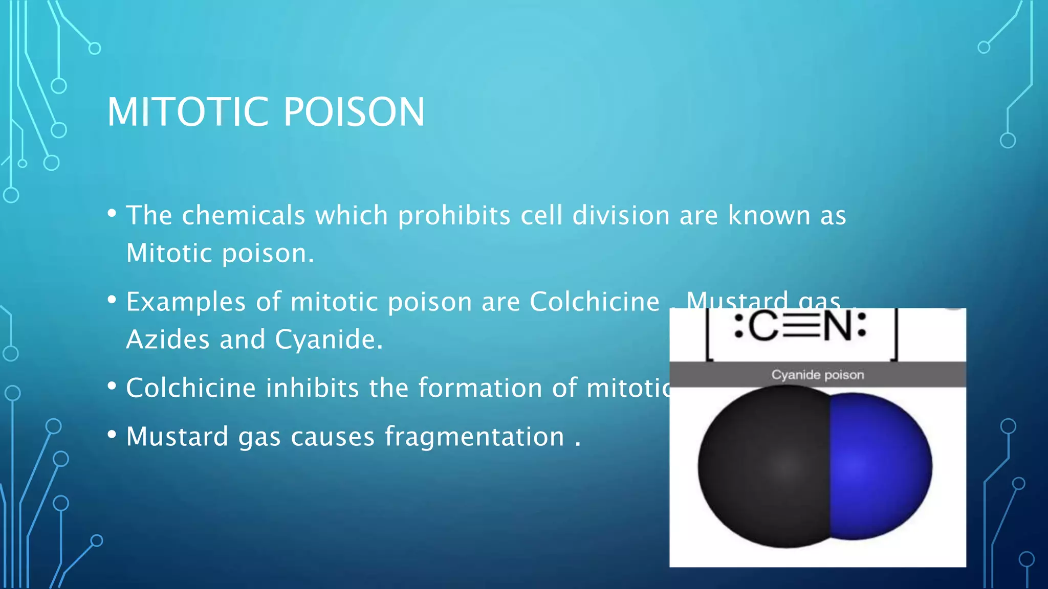 Mahi Sharma ^J 11 B.pptx | Biological Sciences | Science
