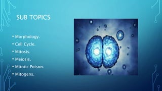 Mahi Sharma ^J 11 B.pptx