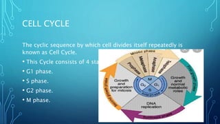 Mahi Sharma ^J 11 B.pptx | Biological Sciences | Science