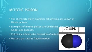 Mahi Sharma ^J 11 B.pptx | Biological Sciences | Science