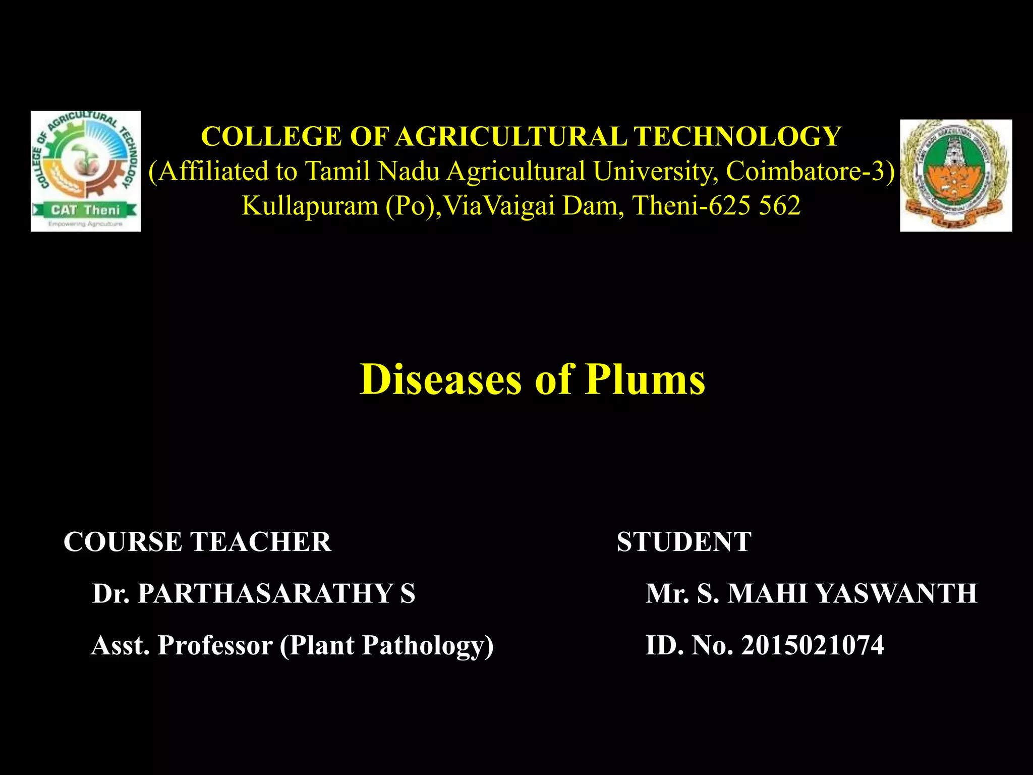Diseases of plum | PPTX