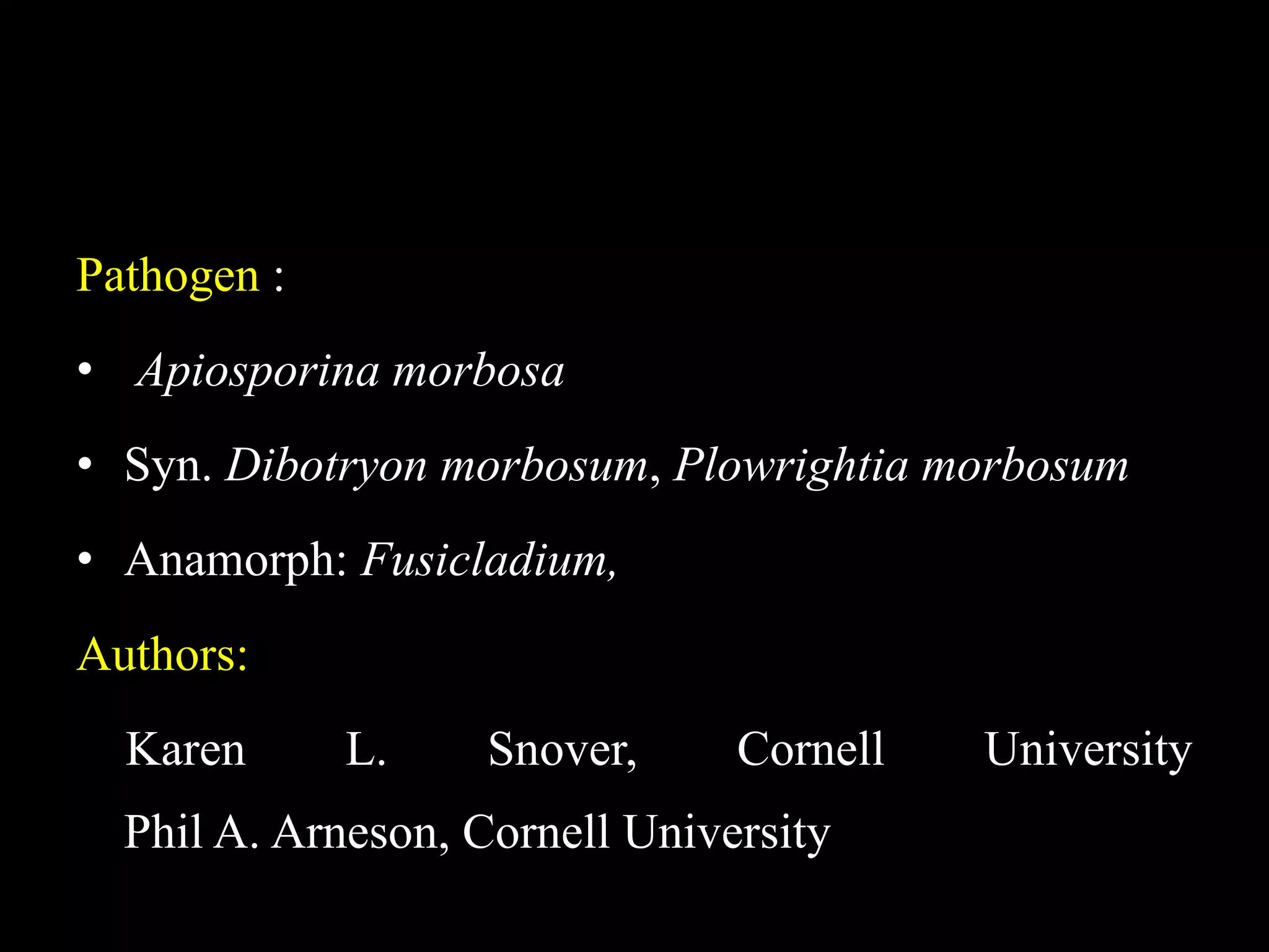 Diseases of plum | PPTX