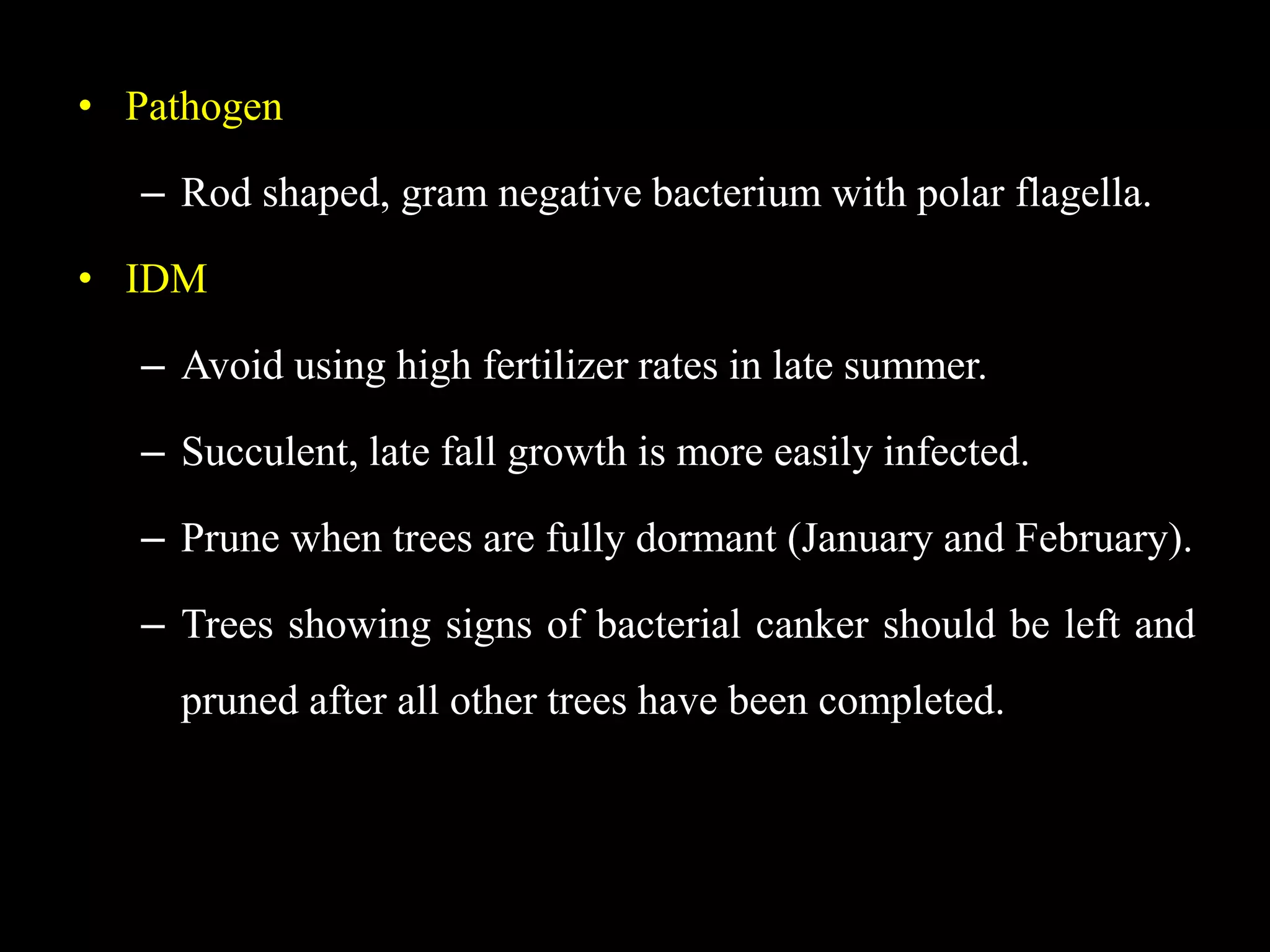 Diseases of plum | PPTX