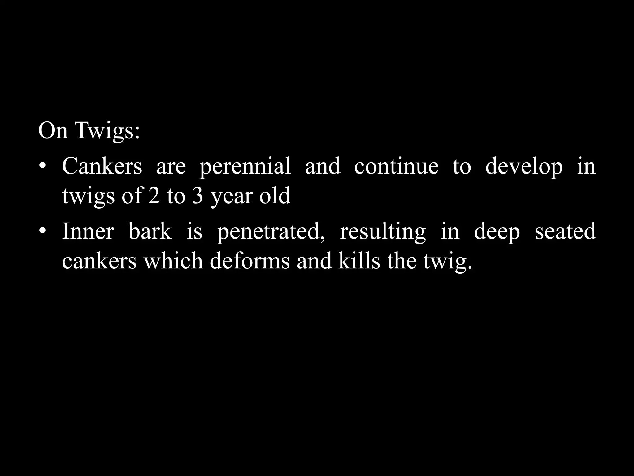 Diseases of plum | PPTX