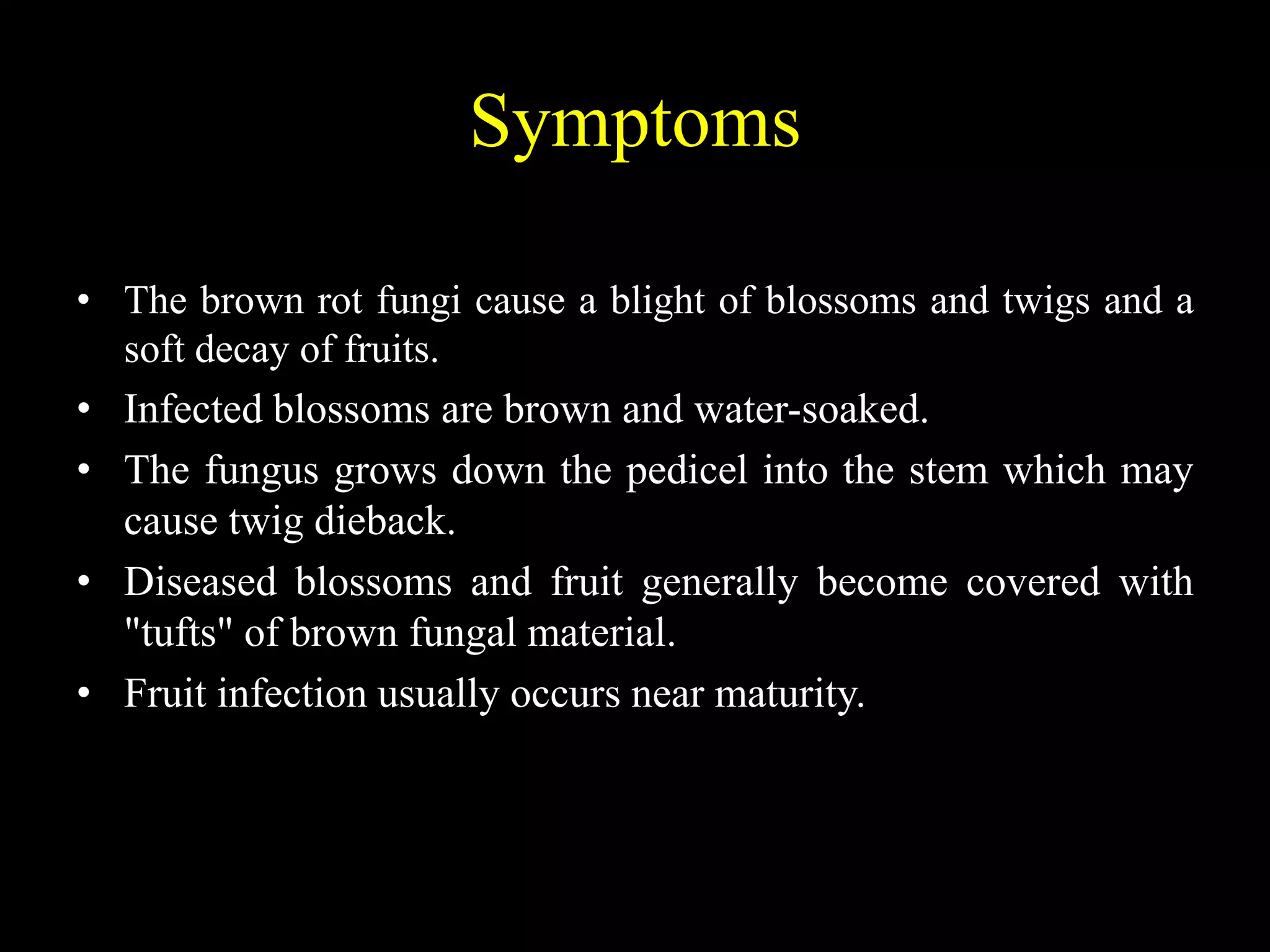 Diseases of plum | PPTX