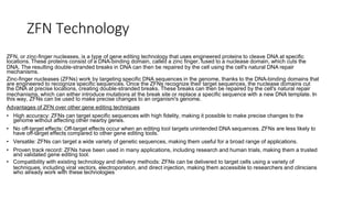 MAHLANGU TD 231088213.pptx