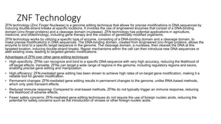 MAHLANGU TD 231088213.pptx