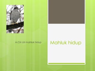 Mahluk hidup di jaman sekarang dan kemampuan | PPT