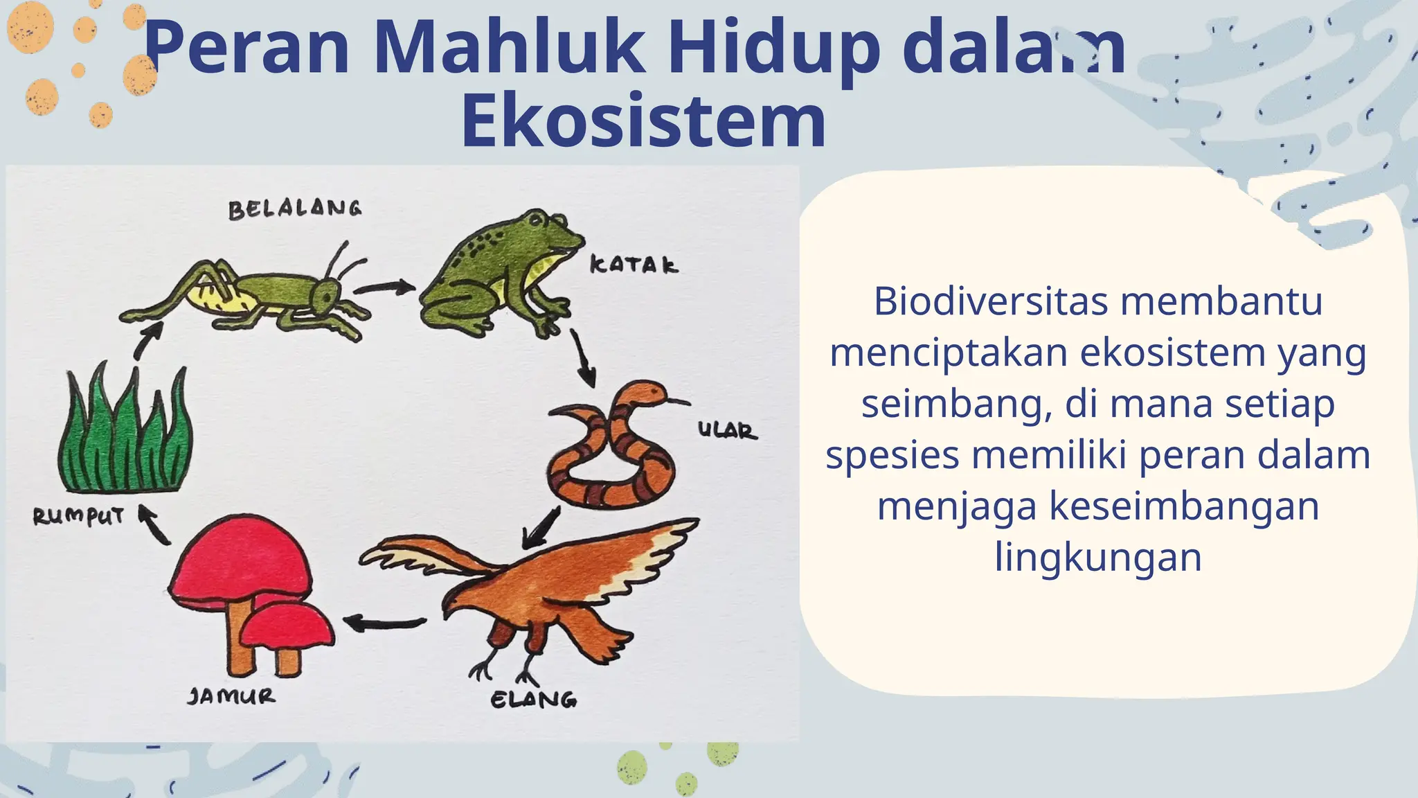 Mahluk Hidup Asal Mula, Ciri-ciri, dan Organisasi Kehidupan .pptx