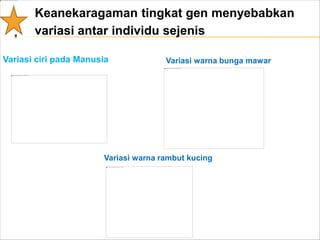 MAHLUK HIDUP (Ciri, Struktur dan Keragamannya)PPT IPA Kelas VII SMP.pptx