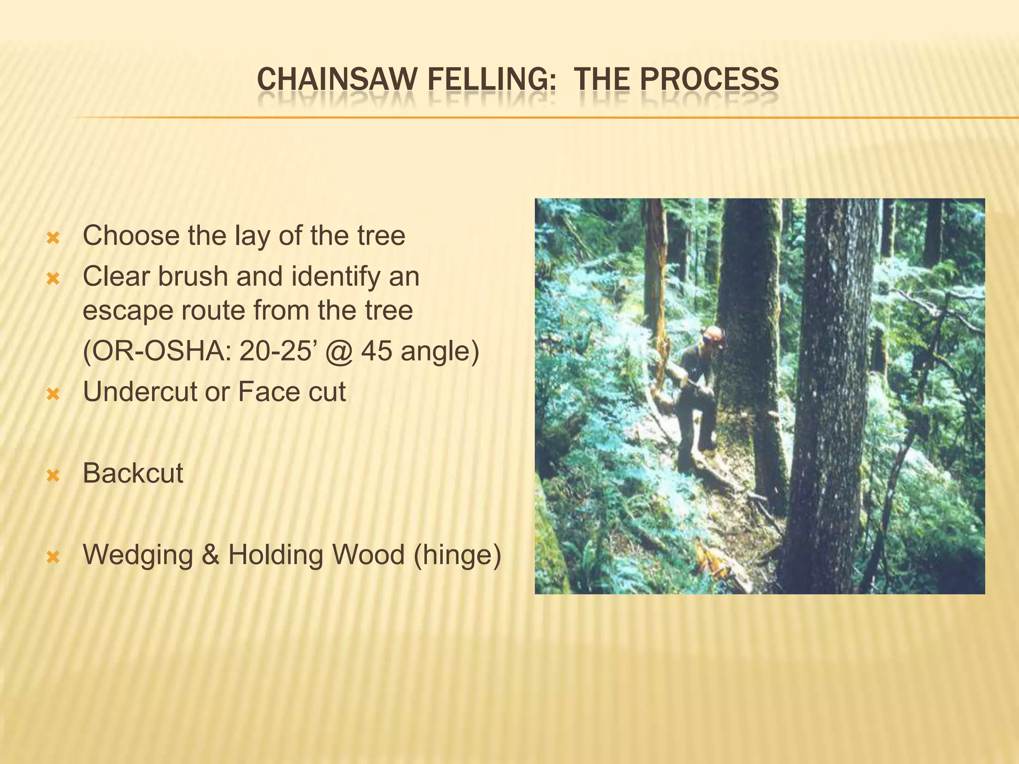 felling of trees | PPTX