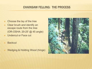 felling of trees | PPTX