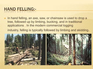 felling of trees | PPTX