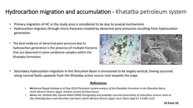 Khatatba Petroleum System in Shoushan Basin - Case Study | PPTX