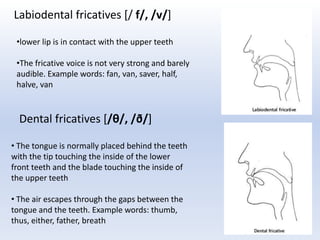 Fricatives of English | PPTX
