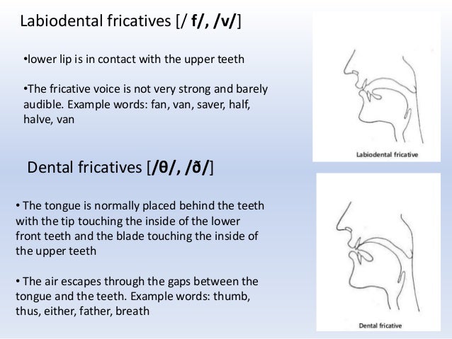 Fricatives of English