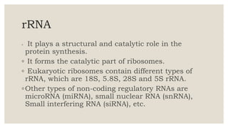 RNA and its types.pptx