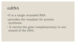 RNA and its types.pptx