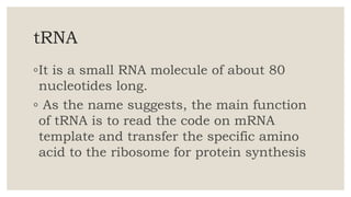 RNA and its types.pptx