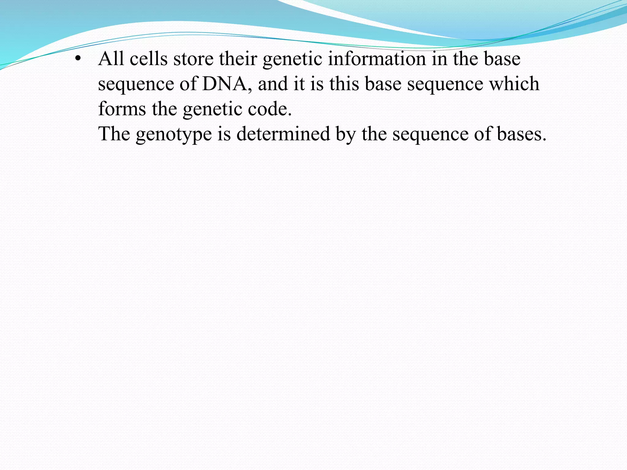 DNA Structure | PPTX | Chemistry | Science