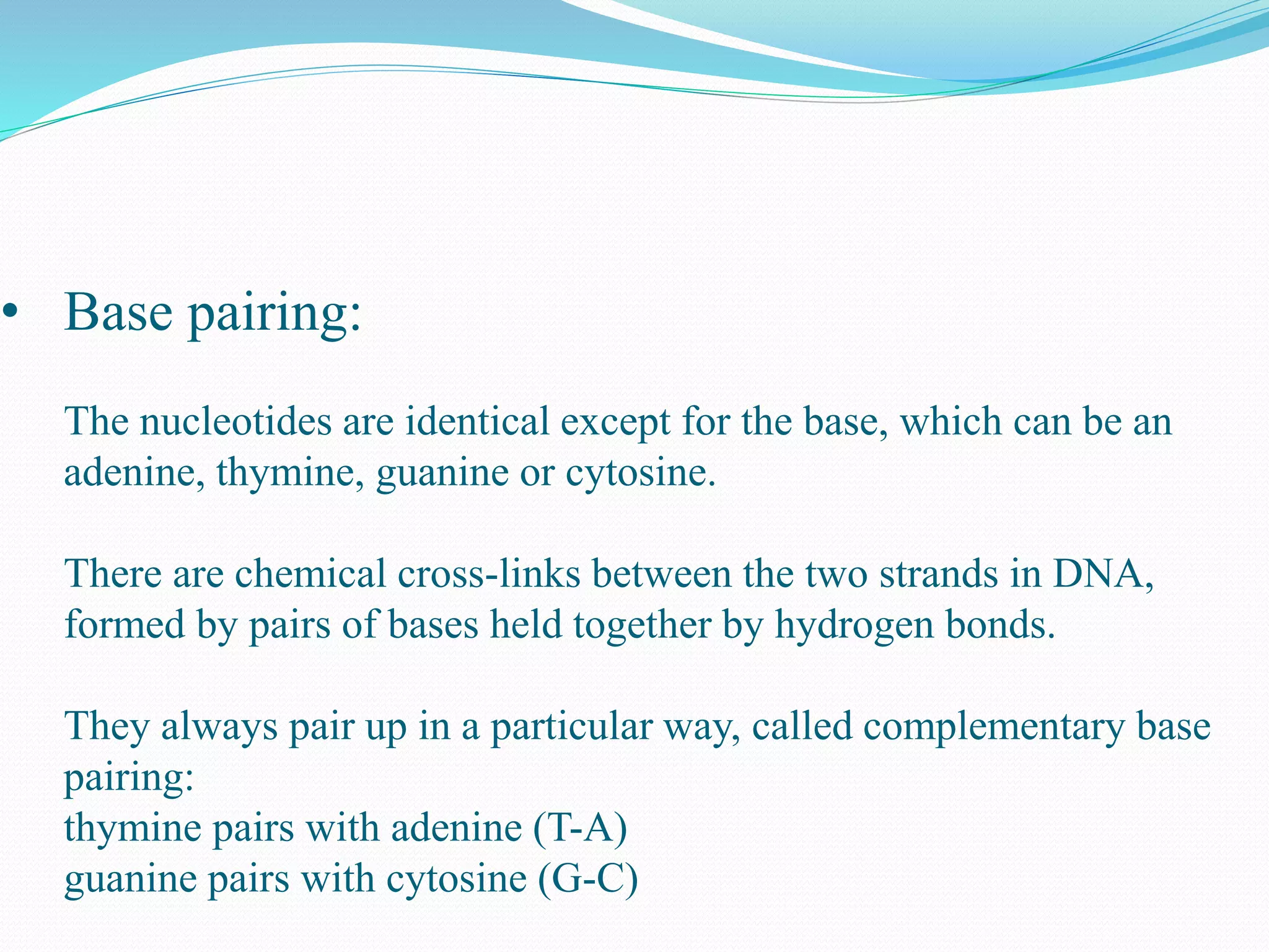 DNA Structure | PPTX | Chemistry | Science