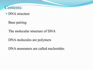 DNA Structure | PPTX | Chemistry | Science