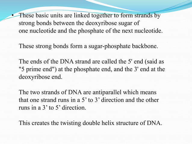 DNA Structure | PPT