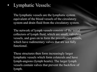 Lymphatic System | PPTX