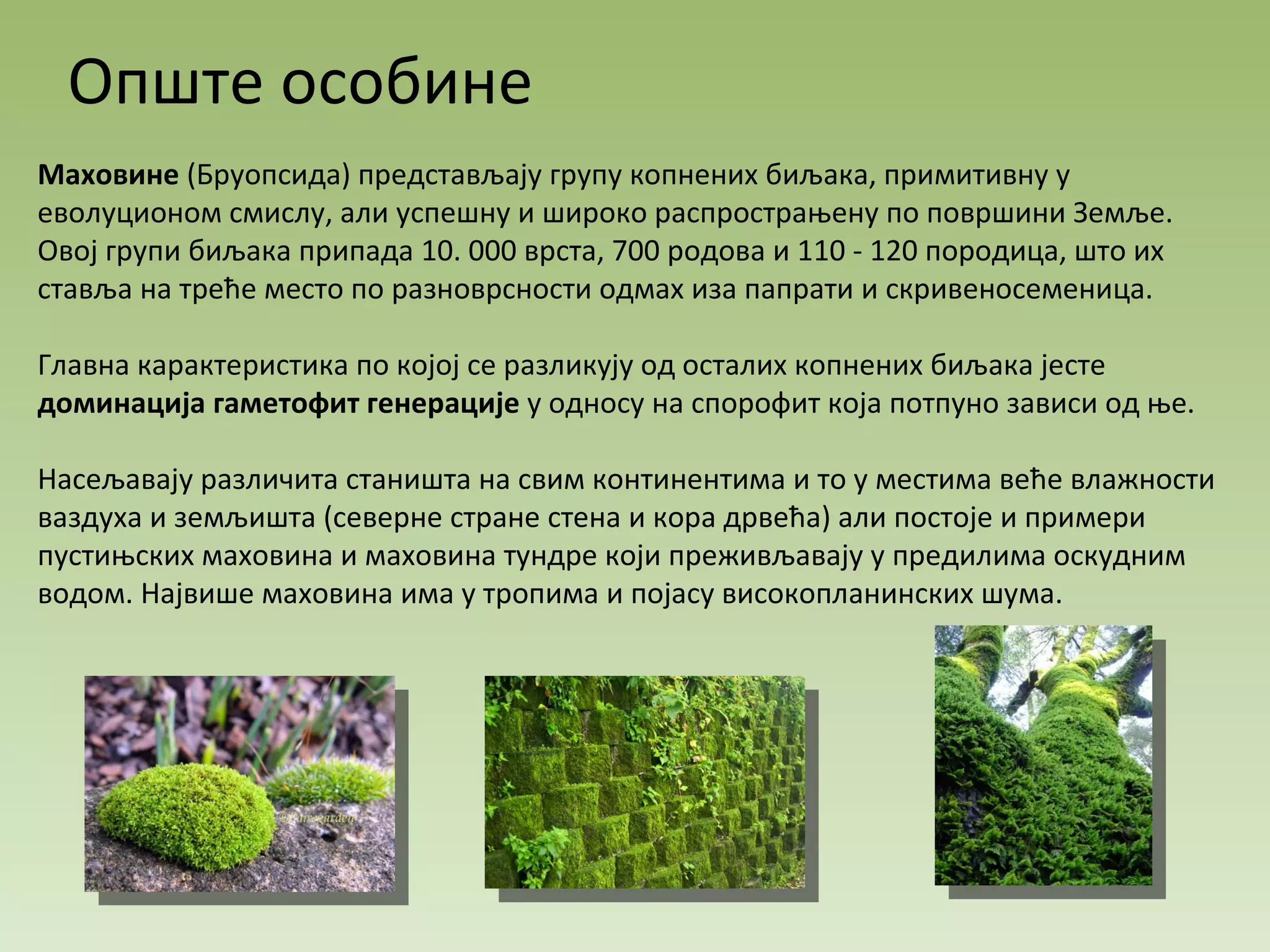 Mahovine | PPT