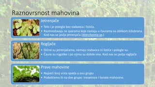 Mahovine, osnovne osobine, građa, raznovrsnost i značaj | PPTX