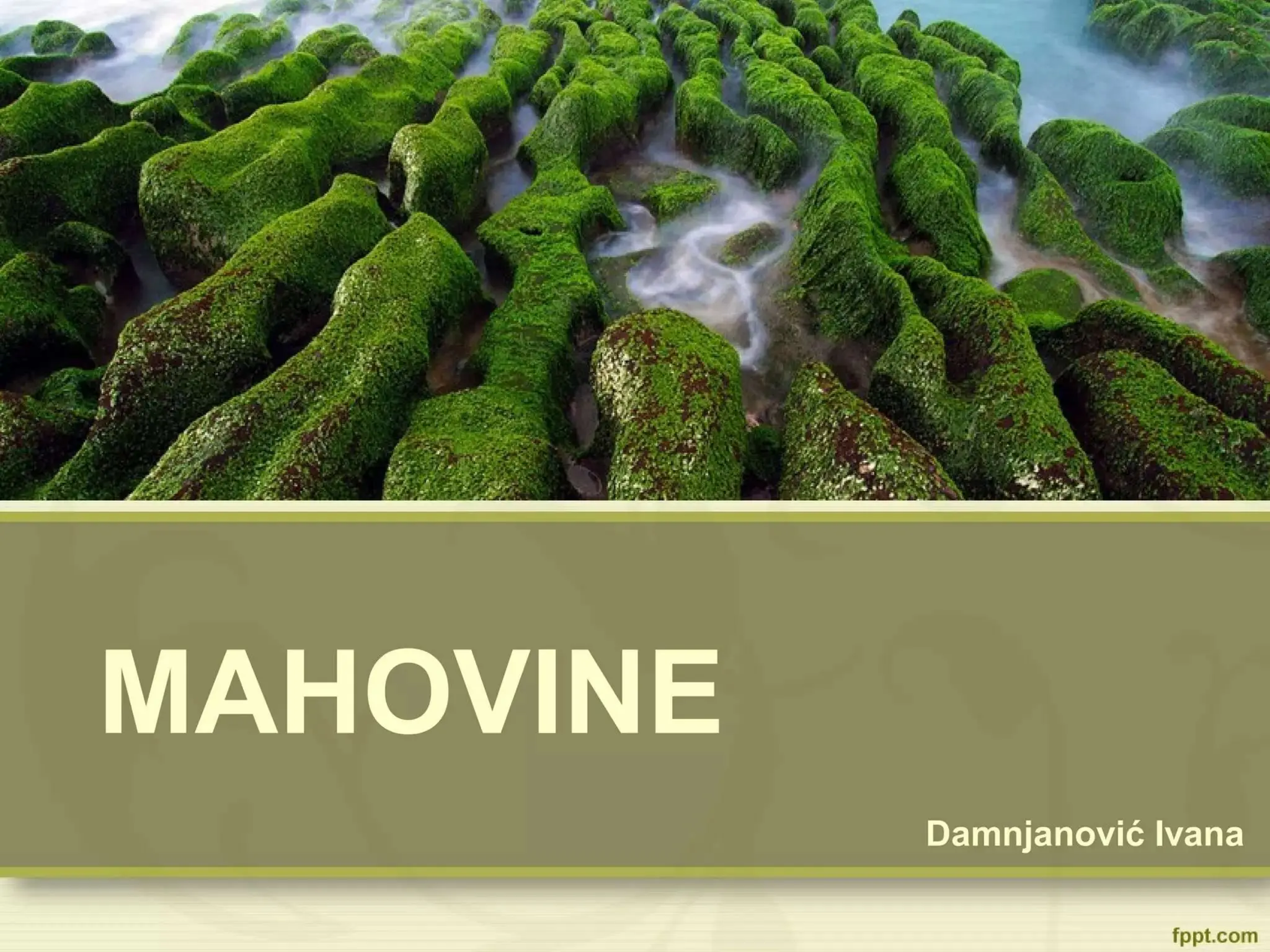 mahovine-osnovne osobine i ciklus razvica | PPTX