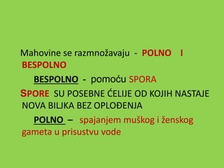 Mahovine & paprati | PPTX