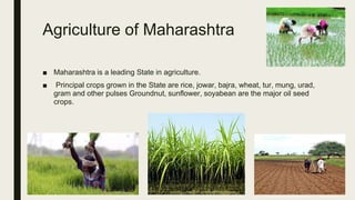 Mahrashtra info | PPTX