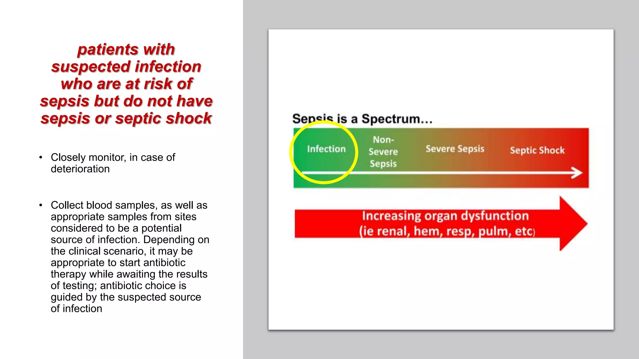 Mahsa - presentation on Sepsis 8-4-22.pptx