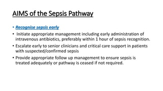 Mahsa - presentation on Sepsis 8-4-22.pptx