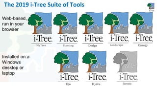 i-Tree Intro For Workshops | PDF