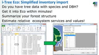 i-Tree Intro For Workshops | PDF