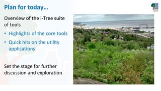 i-Tree Intro For Workshops | PDF